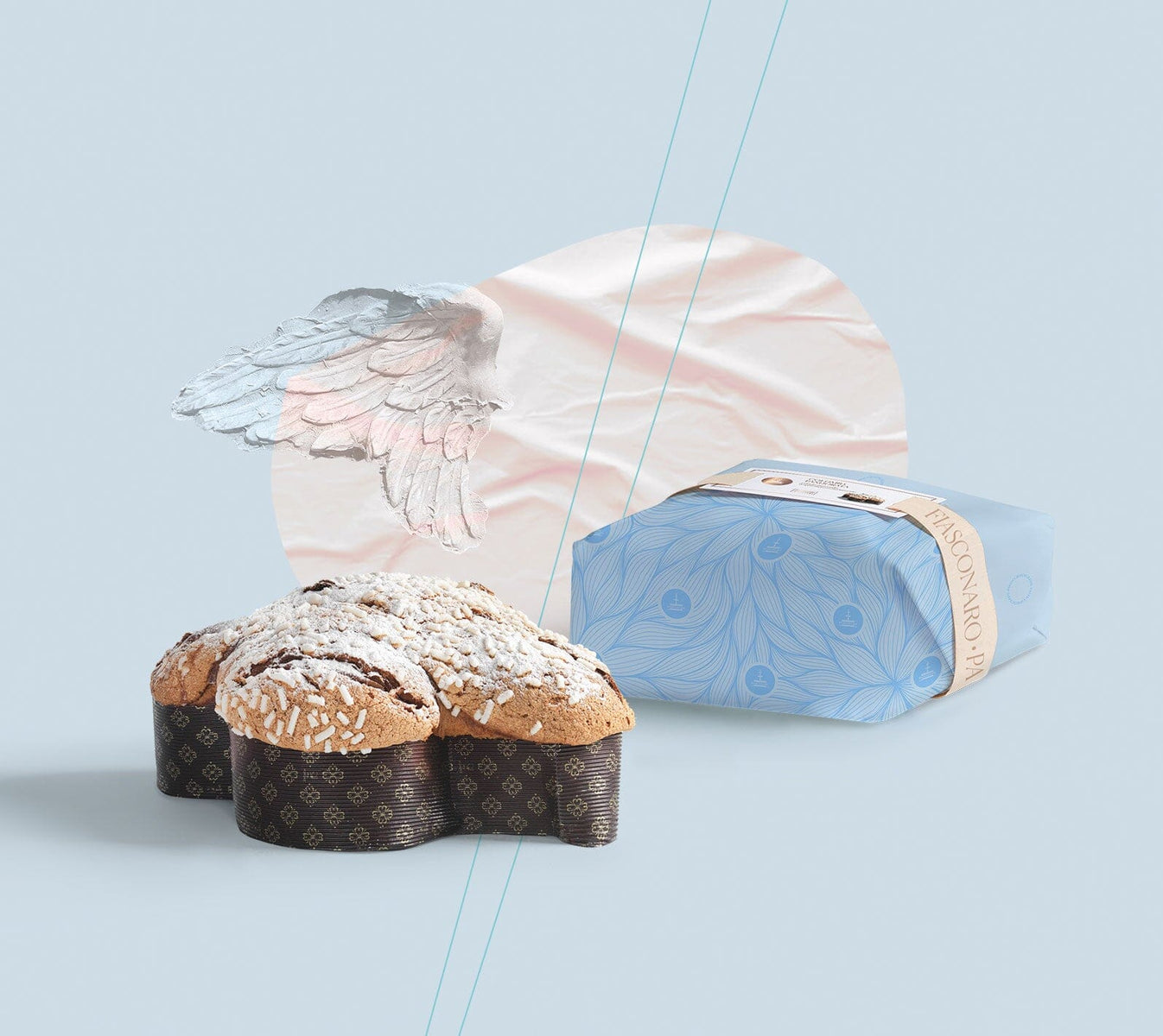 FIASCONARO Colomba Pandorata - 1kg – HollensteinGourmetShop